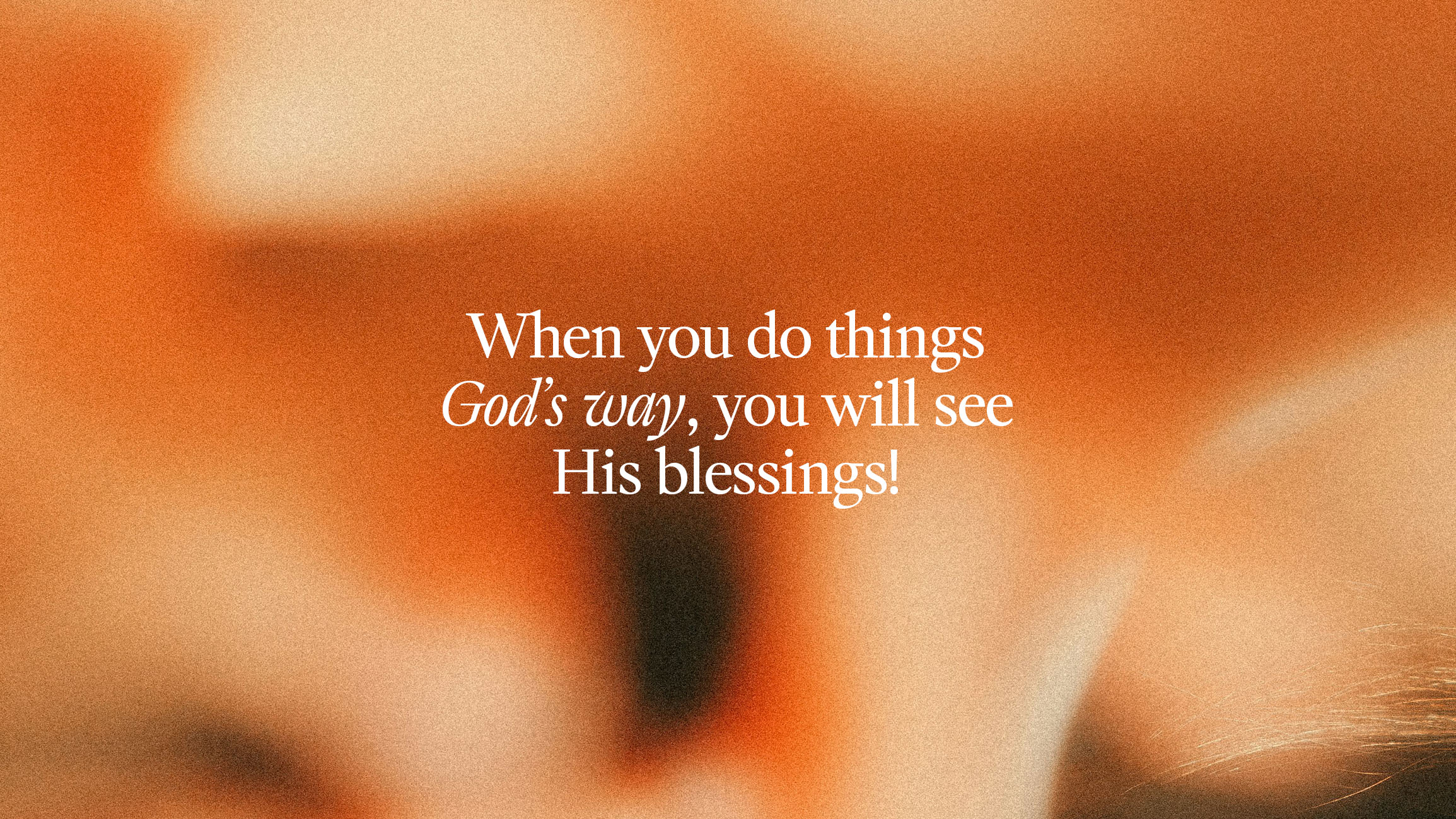 Daily Devotion Jentezen Franklin