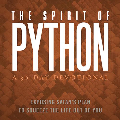 The spirit of python store
